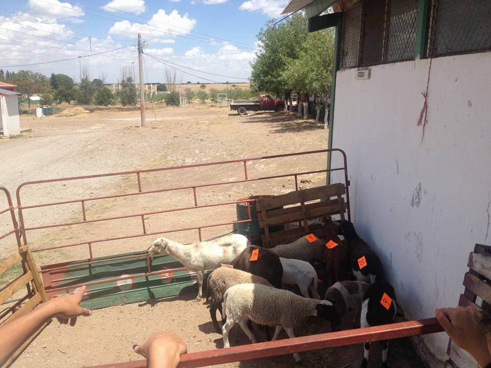 CBTa 90 - Educación con calidad